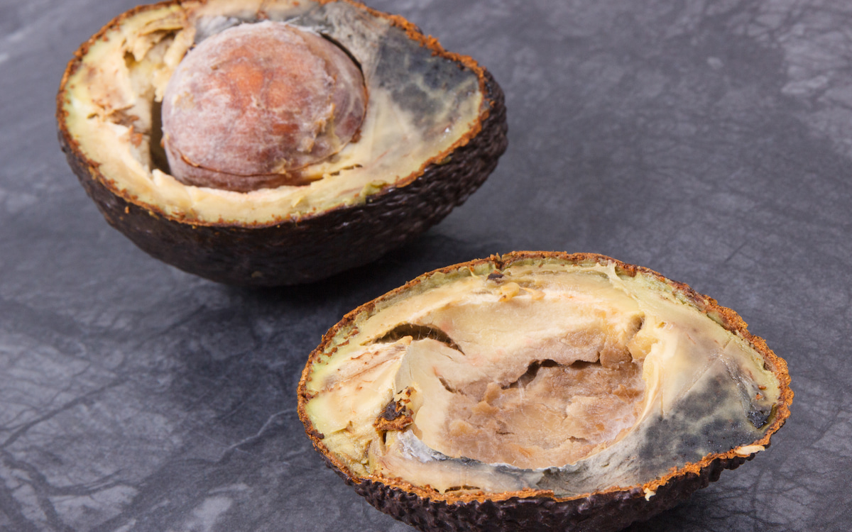 Can You Eat Brown Guacamole? - Think Avocado