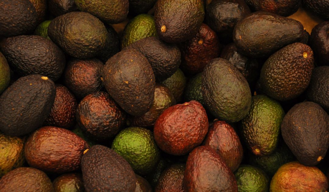 Should Avocados Be Hard? 7 Tips for Picking Avocados - Think Avocado