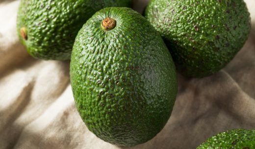 Best Cold-Hardy Avocado Tree Varieties - Think Avocado