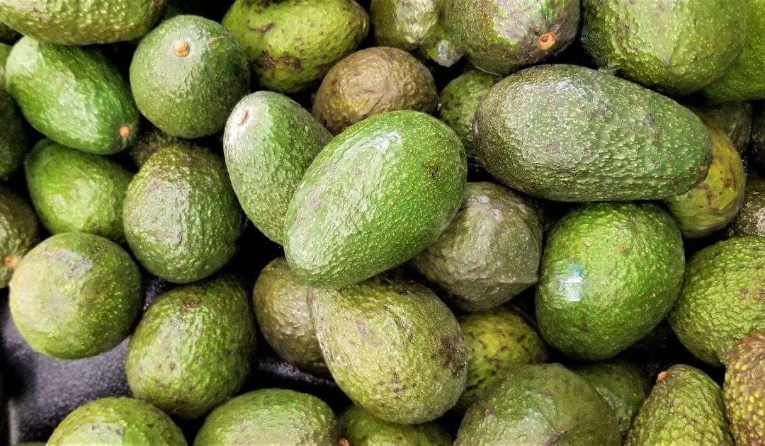How Are Avocados Produced? 7 Facts About Commercial Avocados - Think ...